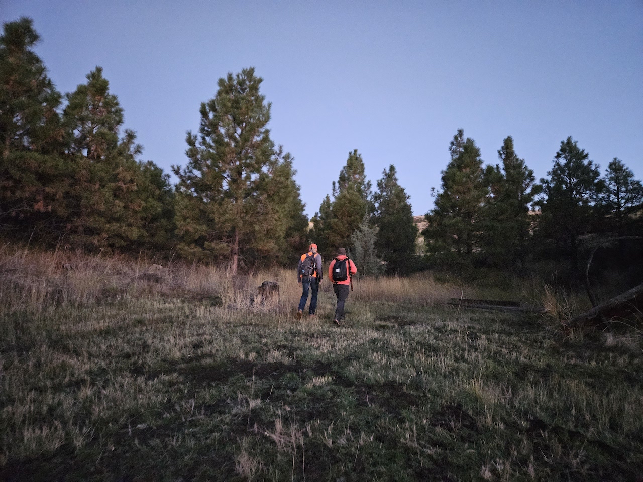 Oregon Mule Deer Predation, Hunter Harvest Webinar Coming Up