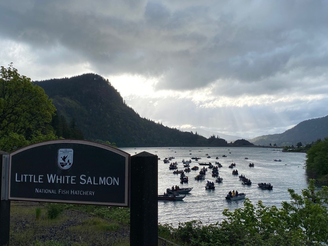 SW WA Fishing Report (4-22-24)