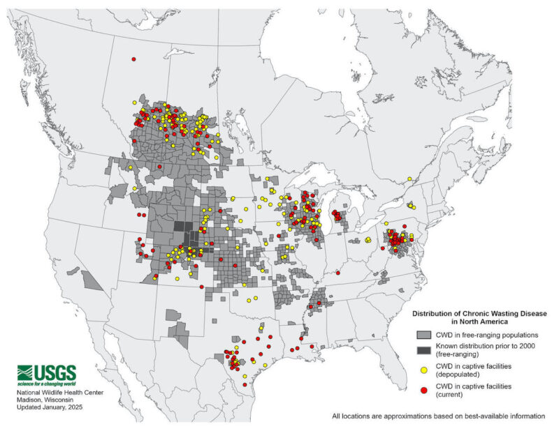 Lower CWD Prevalence Seen In Mule Deer Herds With High Hunter Harvest ...