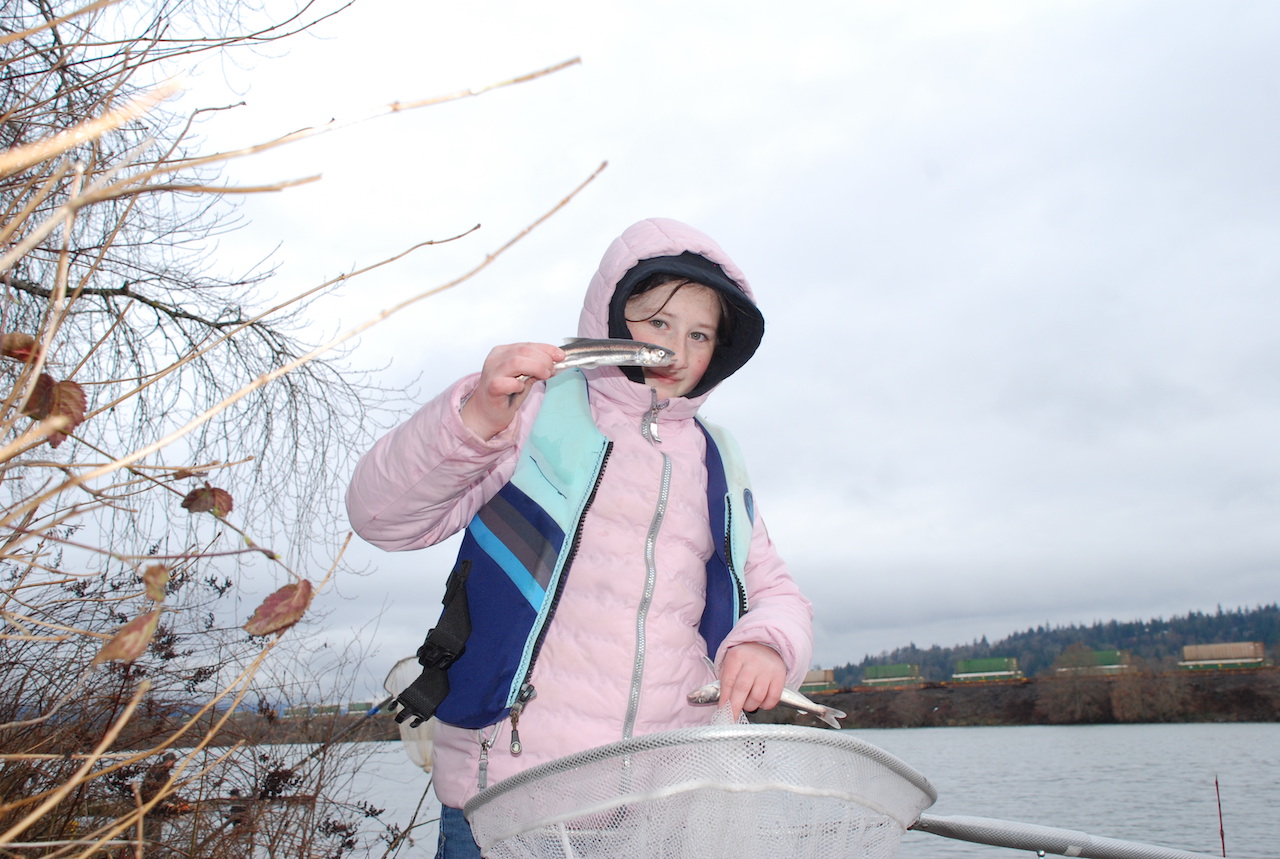 Heads Up On New Cowlitz Smelt Dipping Wrinkles