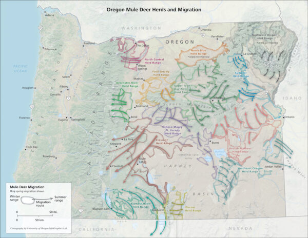Heads Up On Potential Changes To Eastern Oregon Mule Deer Hunts ...