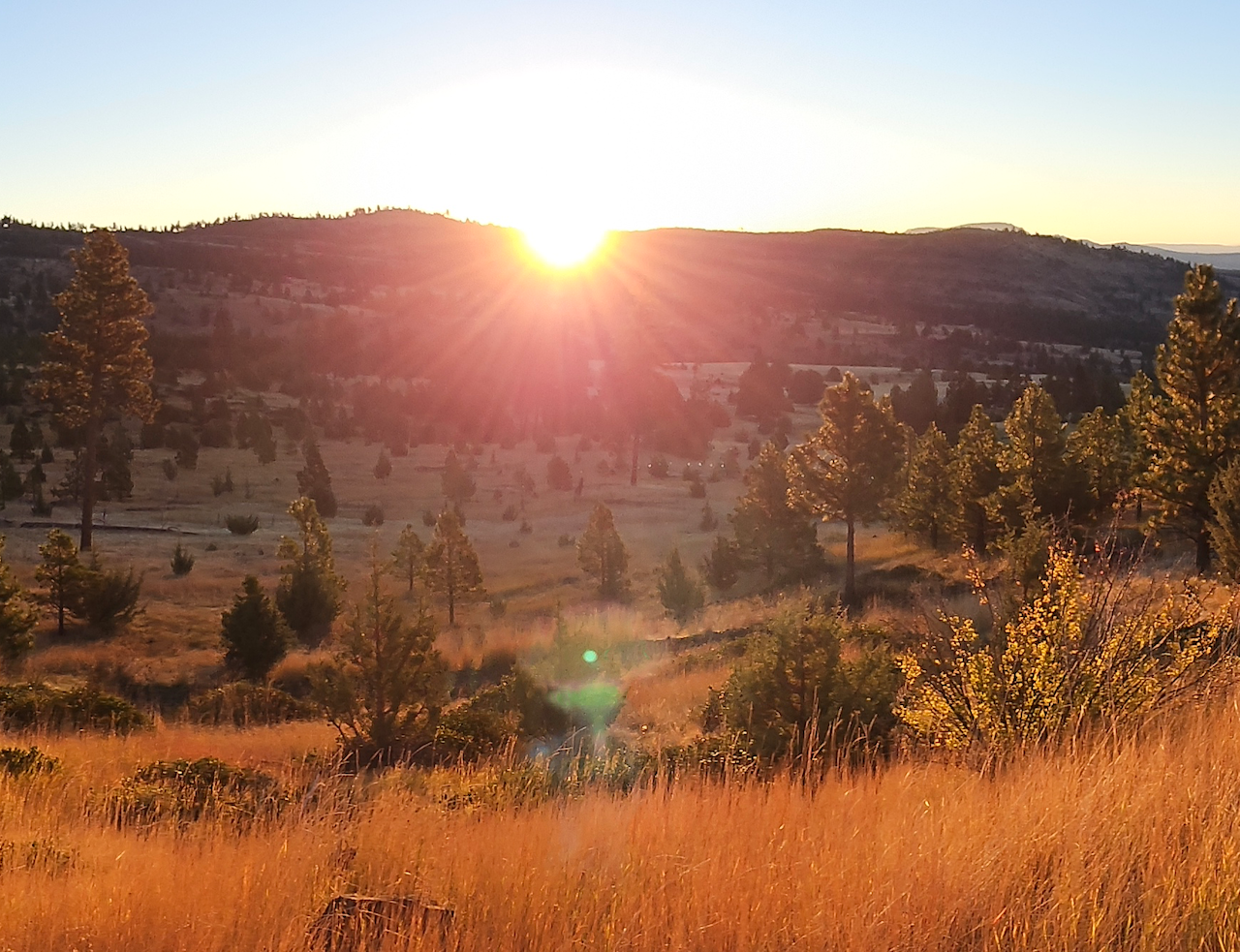Heads Up On Potential Changes To Eastern Oregon Mule Deer Hunts ...