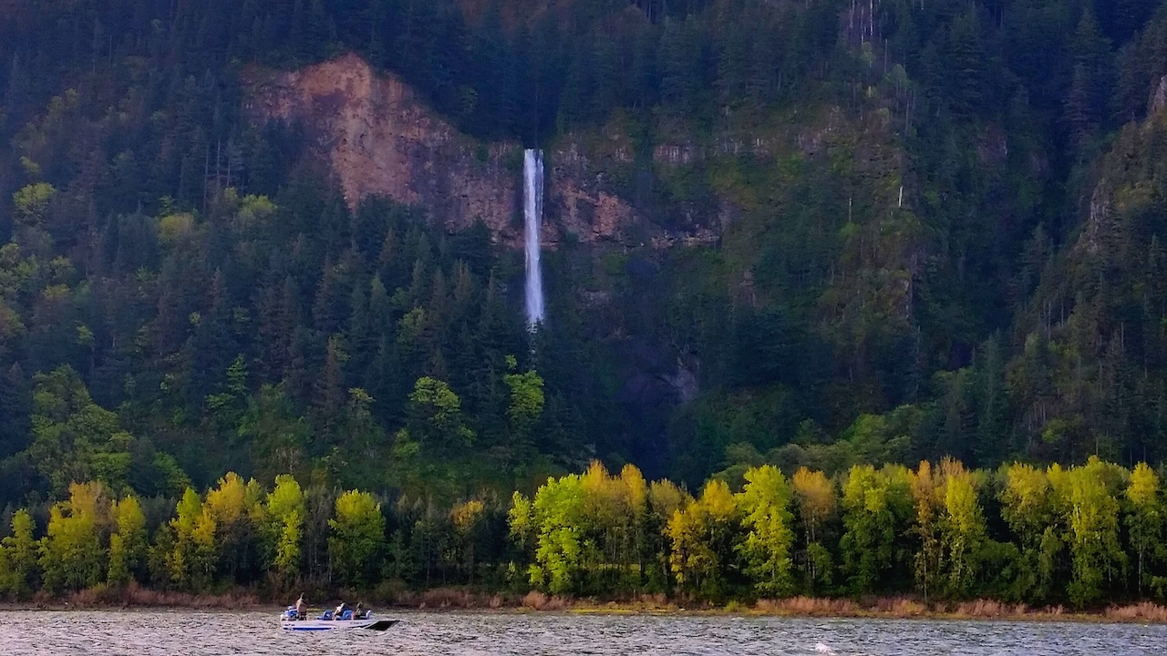 Columbia River Chinook: 2026 Fishing Outlook Positive - News Usa Today