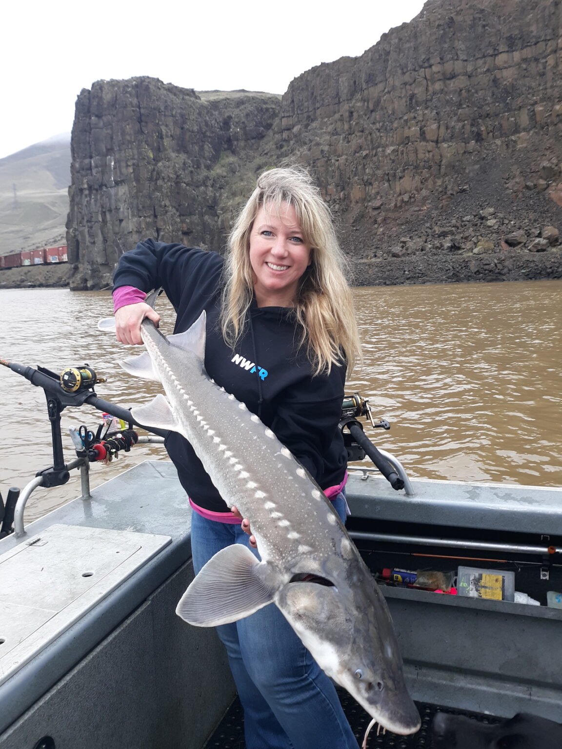 Columbia Sturgeon Managers To Consider Closing Retention On John Day Pool